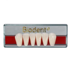 Biodent® - New Stetic S.A.